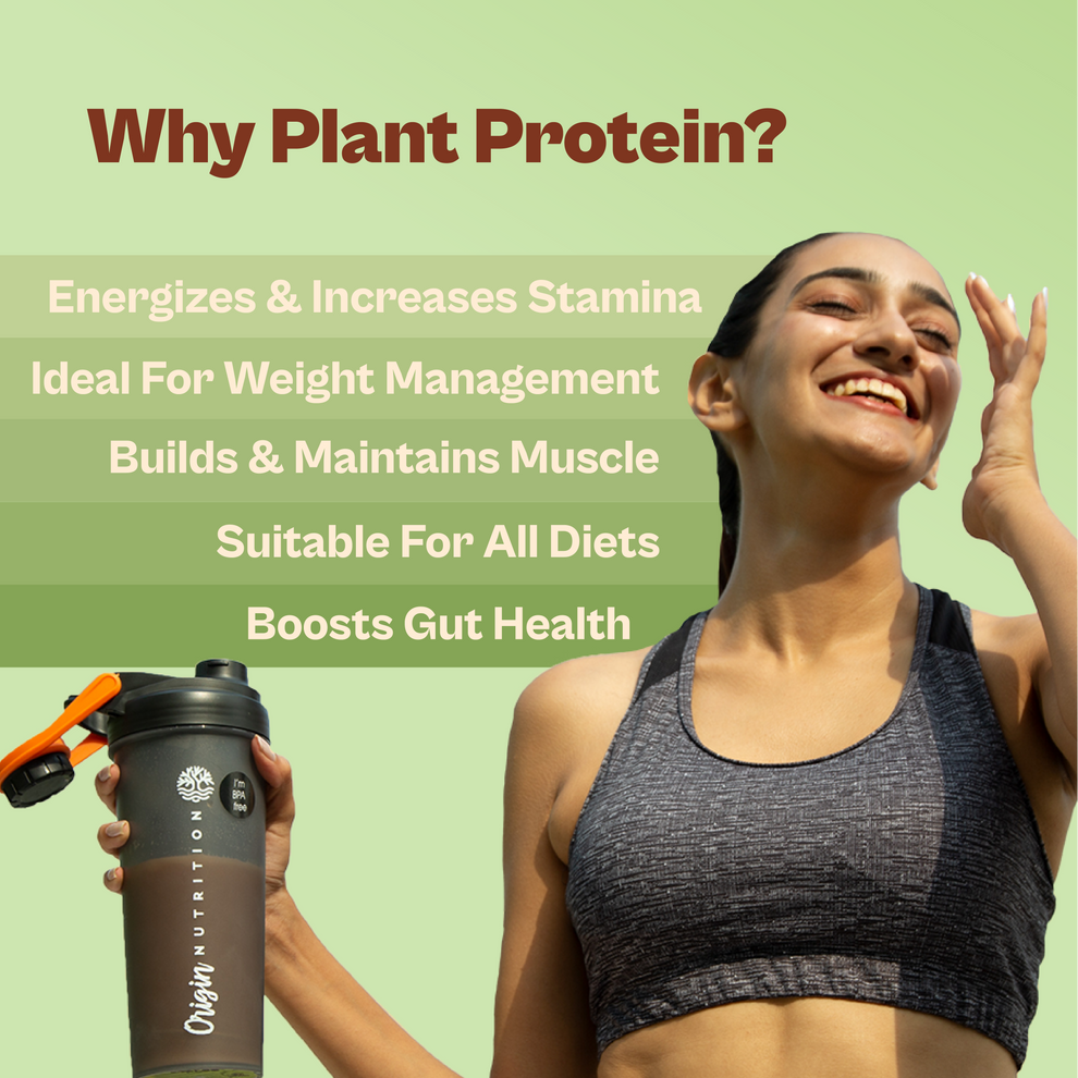 Daily Plant Protein - Classic Unflavoured – Origin Nutrition